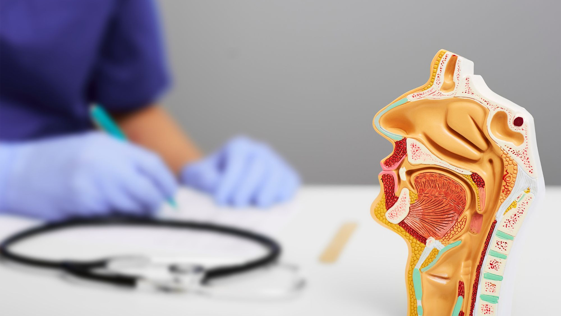 When to See an ENT Specialist — Common Signs You Shouldn’t Ignore ...